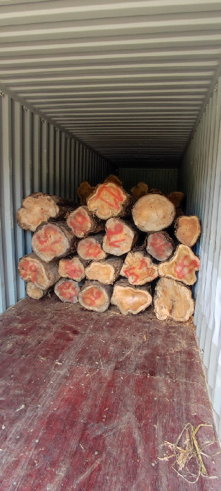 Trozas de madera de Teca :: Texpormaderas